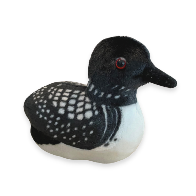 Shop - National Loon Center Foundation