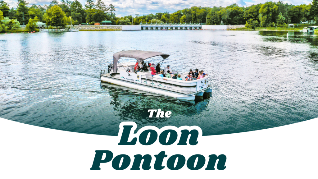 Loon Pontoon Tours - National Loon Center Foundation
